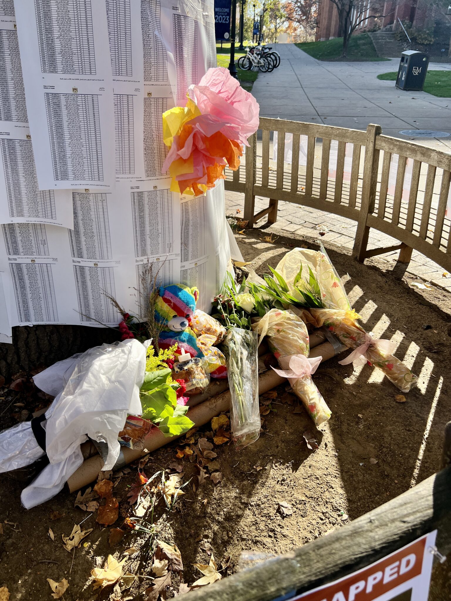 The Protest Tree, Nov. 2023: Photo Story - THE COLLEGE REPORTER